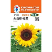 《農友種苗》特選花卉種子 SF-035 向日葵-橙黑 | 蝦皮購物