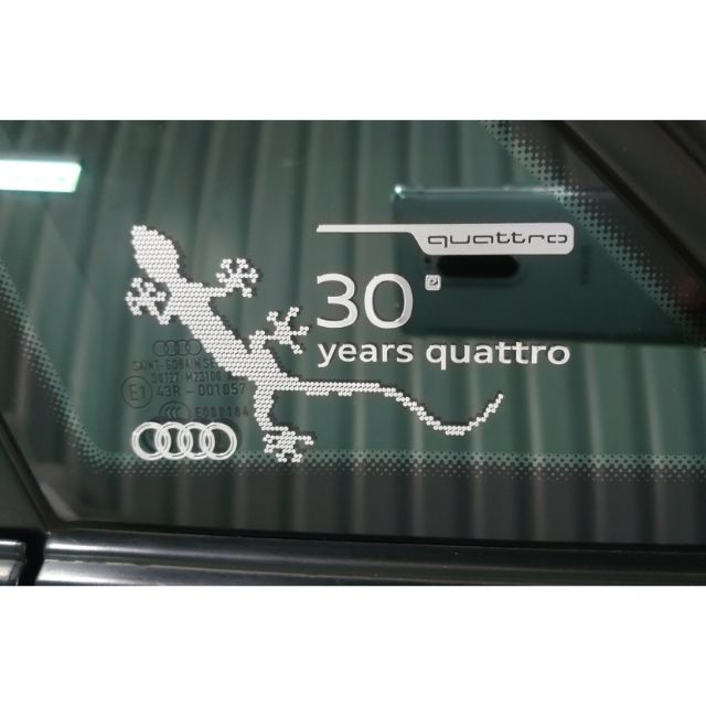 Quattro 30年紀念貼紙 一次買4張免運 | 蝦皮購物