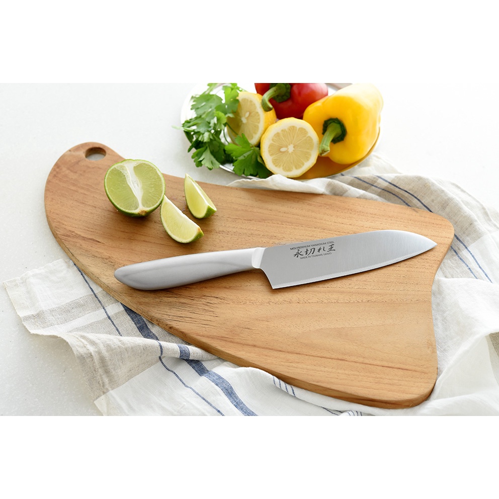 Arnest 日本製🇯🇵 鉬合金三德刀_永切王（16.5 cm） | 蝦皮購物