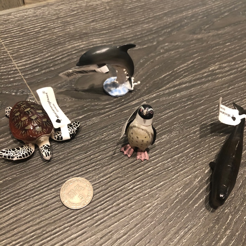 EIKOH 日本扭蛋 日本轉蛋 擬真動物 海龜 藍鯨 企鵝 海豚 動物扭蛋 動物轉蛋 miniatureplanet | 蝦皮購物