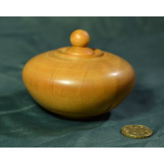 台灣黃檜(扁柏)聚寶盆 小型BNHN - 3 | 蝦皮購物