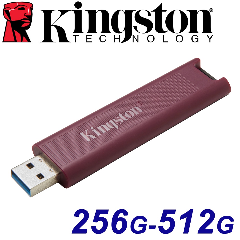 Kingston 金士頓 512GB 256GB DTMAXA USB-A USB3.2 隨身碟 512G 256G | 蝦皮購物