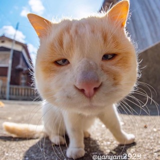 d608 - 優惠推薦 - 2025年8月 | 蝦皮購物台灣