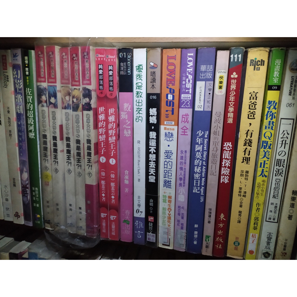 書籍 數獨之戀 少年阿莫的秘密日記 恐龍探險隊 教你畫Q版美正太 一公升的眼淚 紳士的品格 美麗聖經藥妝保養醫學美容全書 | 蝦皮購物