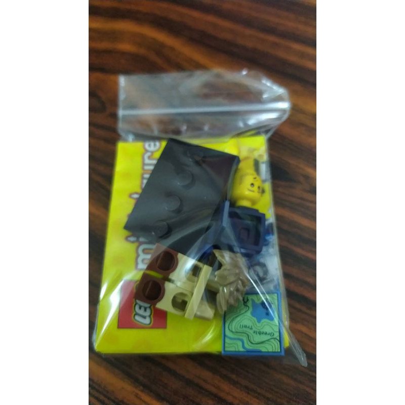 樂高 Lego-71013 6 登山者/背包、指南針 運動員 | 蝦皮購物