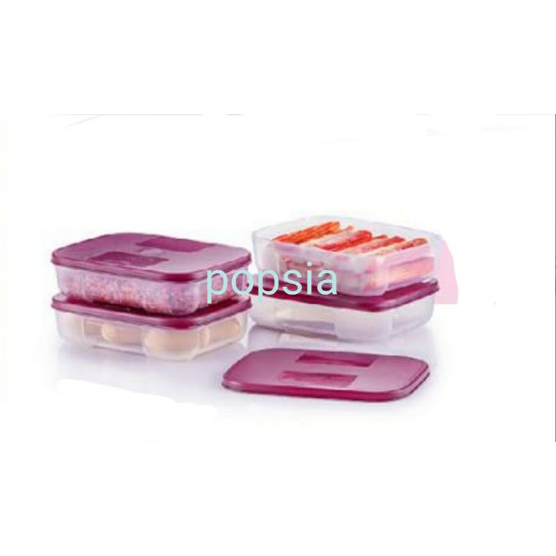 Tupperware 300ml Small I(2)【Popsia特百惠300cc冷凍保鮮盒(2)扁】現貨 | 蝦皮購物