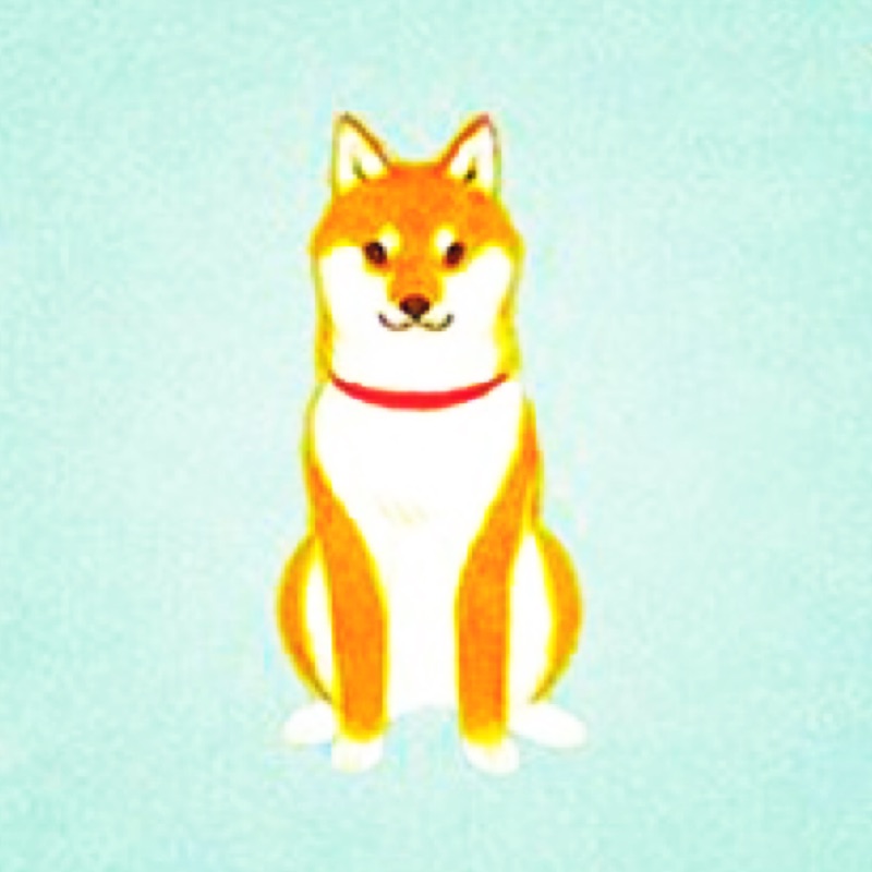 VOLKS DP50 DD NT 初音 限定娃 全新整套 現貨 | 蝦皮購物