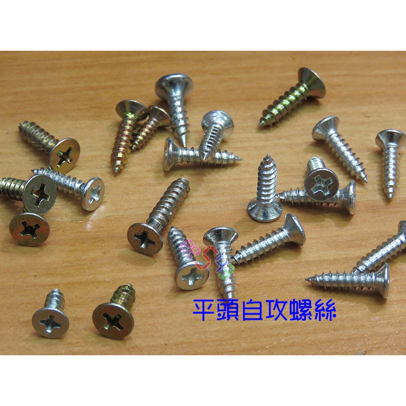 平頭自攻螺絲100支_F2*10/F3*10/F3.5*16/F4*16自攻牙螺絲釘尖牙木螺釘十字螺絲皿頭錐頭沉頭 | 蝦皮購物