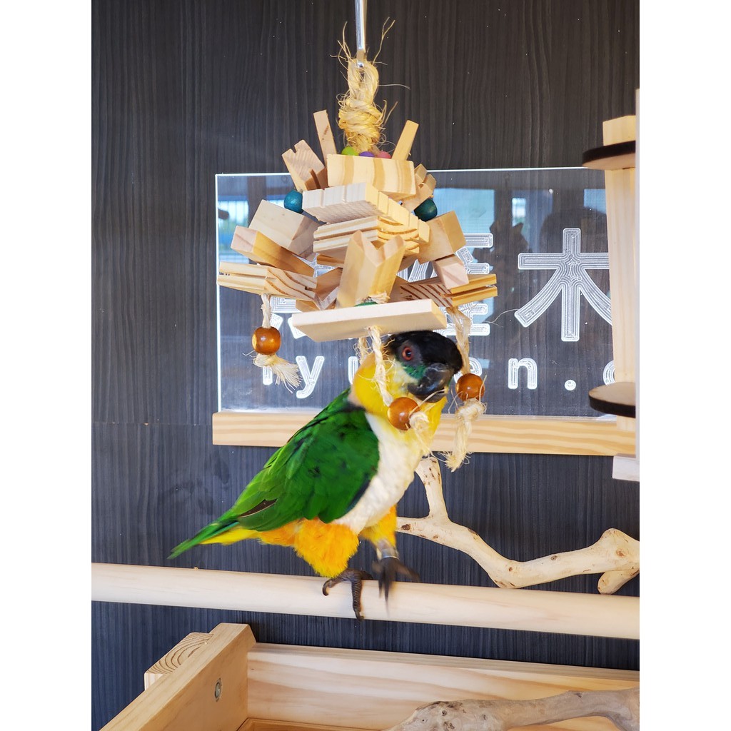 鸚鵡玩具│T0025.總匯串燒／啃咬木串-魚雁木坊鸚鵡啃咬玩具 | 蝦皮購物