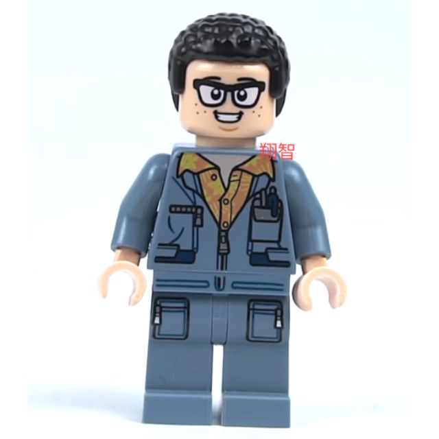 【台中翔智積木】LEGO 樂高侏儸紀 75935 Danny Nedermeyer | 蝦皮購物