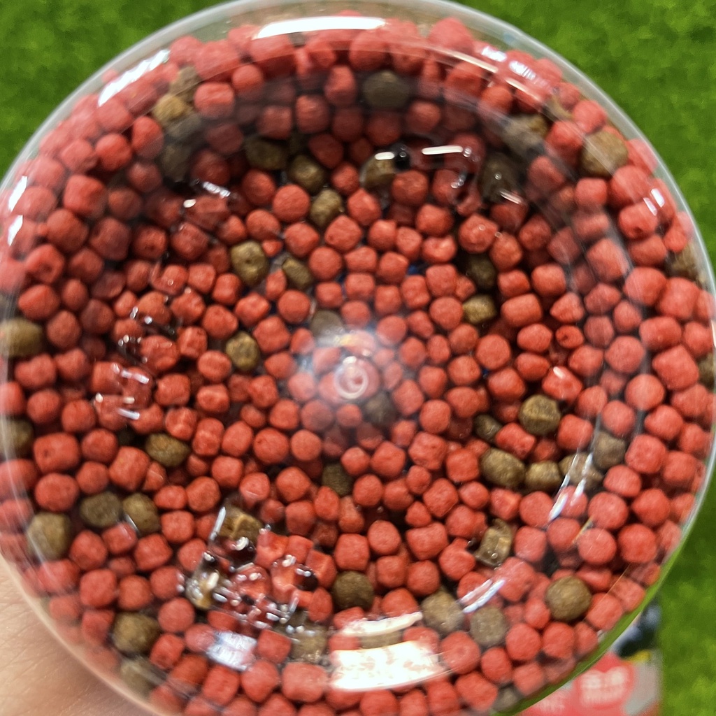 【彼得貓水族】雅柏UP 金魚專用飼料 小顆粒260g/大顆250g 錦鯉 金魚 魚飼料 小紅帽 流金 神仙魚 獅頭 琉金 | 蝦皮購物