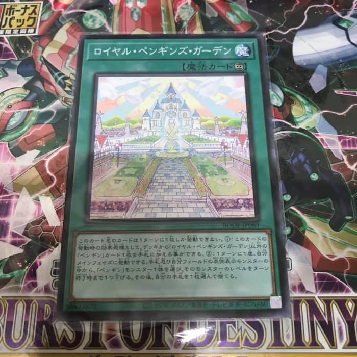 【遊戲王 現貨 BODE 1106】BODE-JP063 皇家企鵝花園 韓紙 公司貨 (普卡) | 蝦皮購物