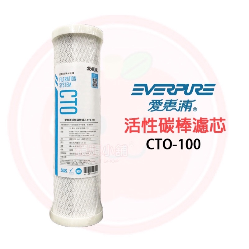 頻頻小舖 EVERPURE 愛惠浦 CTO-100 活性碳濾心 10吋 CTO100 活性碳 CTO 台灣公司貨 | 蝦皮購物