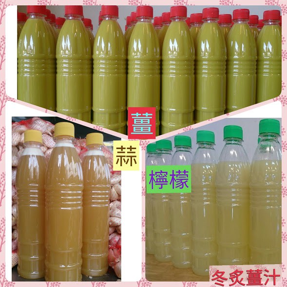 薑汁.蒜汁.檸檬汁==(冬炙薑汁)(滿5組免運)（可冷凍店到店） | 蝦皮購物