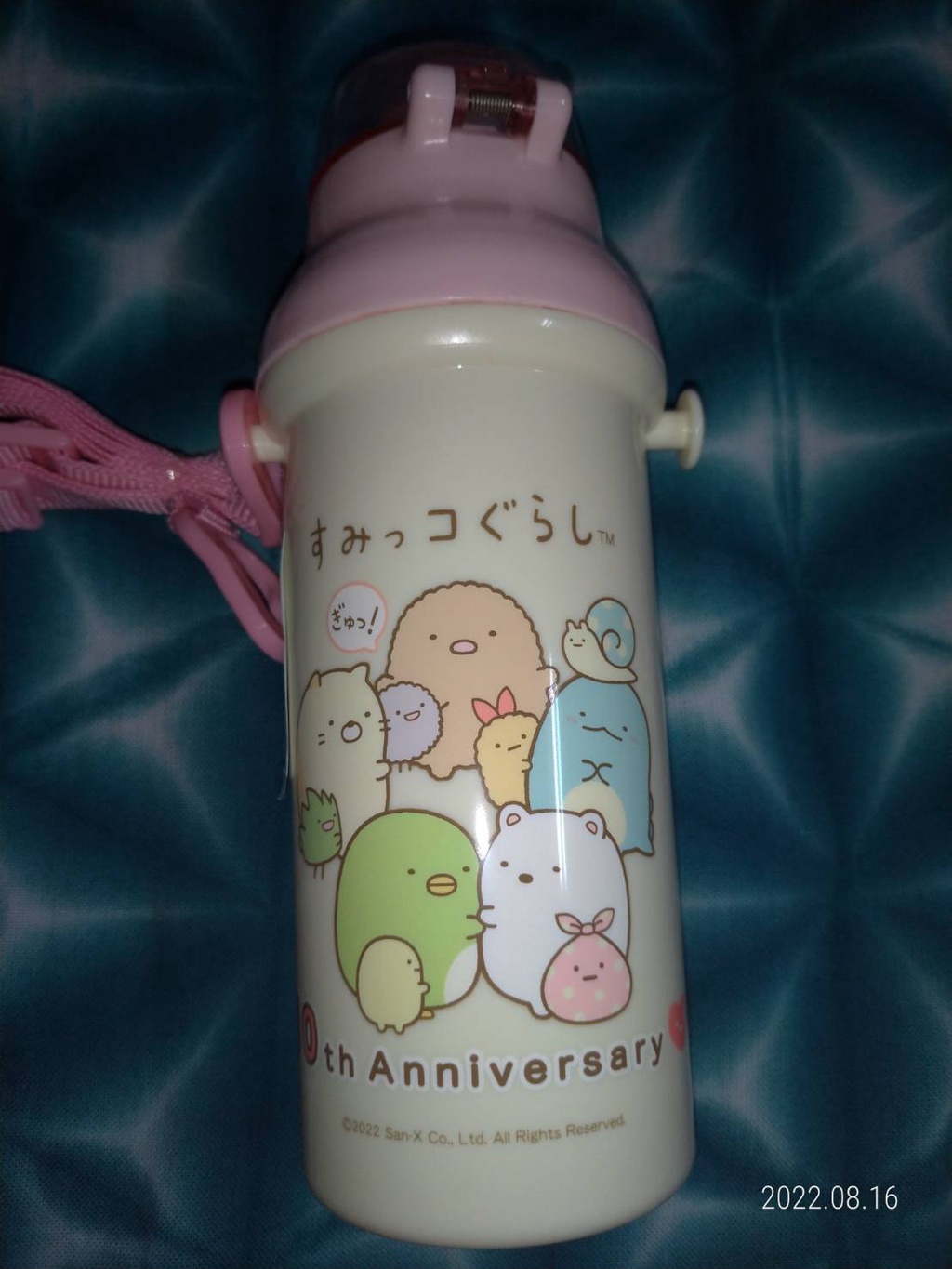 出清 日本 SKATER 角落生物10周年 Ag 銀離子抗菌 兒童直飲冷水壺 480mL 小孩 水壺 PSB5SANAG | 蝦皮購物