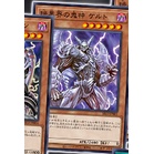 到貨後寄出 SR13-JP005 暗黑界的鬼神 凱爾特 (普卡) | 蝦皮購物