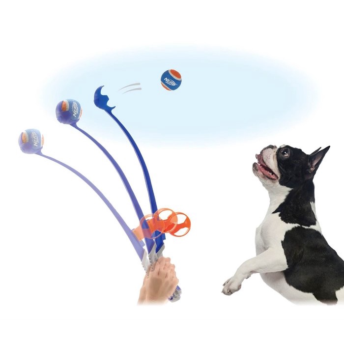 貝果貝果 寵物 NERF DOG 啾啾網球 拋(1球入)【T4024】 | 蝦皮購物