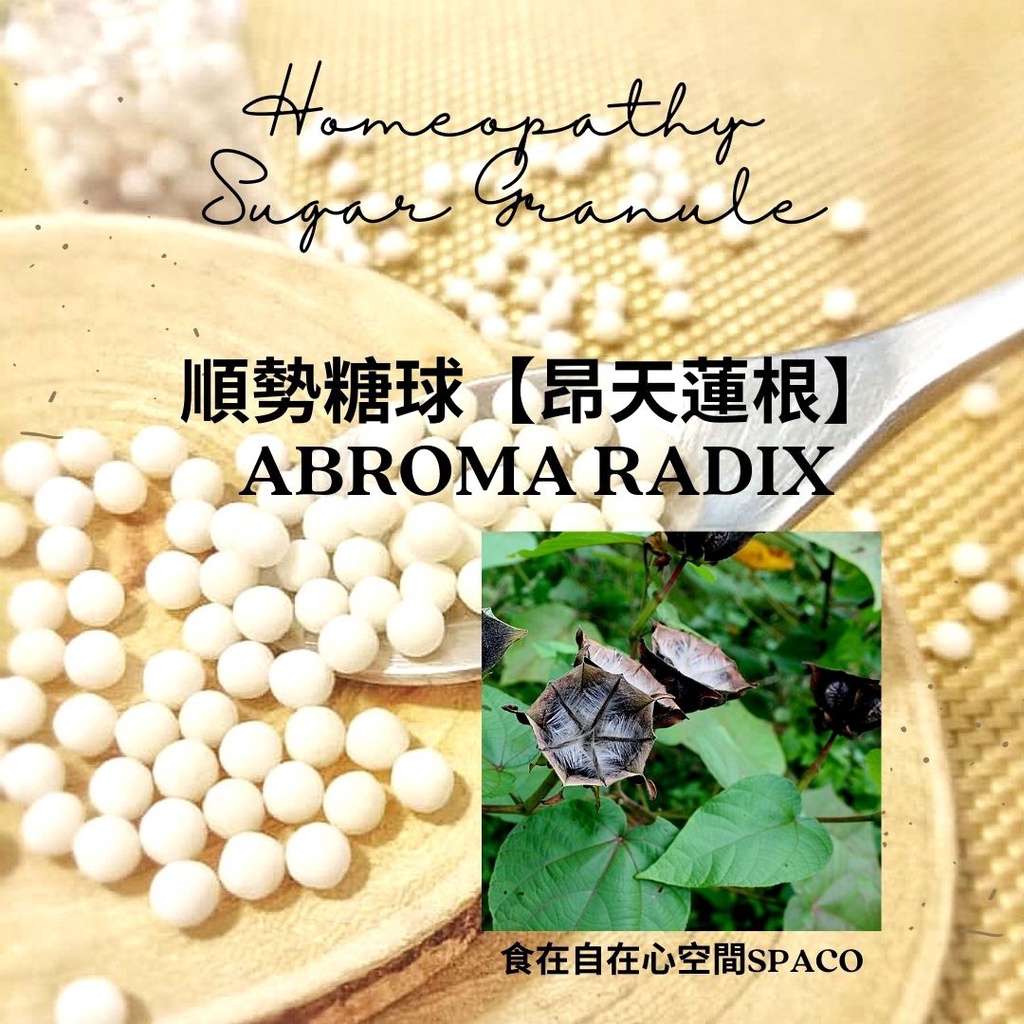 順勢糖球【昂天蓮根Abroma Radix】女性內在的疏通開展Homeopathic Granule 食在自在心空間 | 蝦皮購物