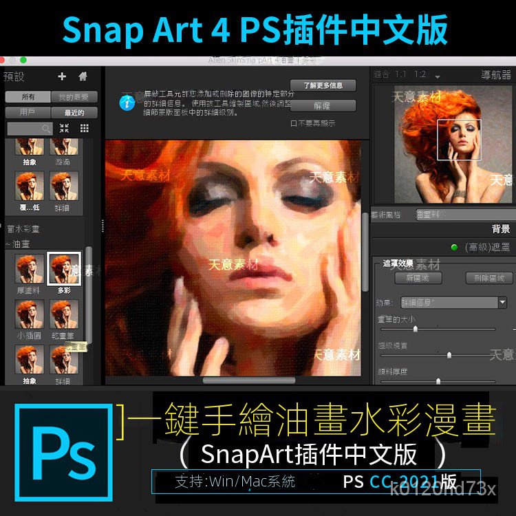 【實用軟體】Alien Skin Snap Art4 一鍵轉手繪水彩油畵素描濾鏡插件win/mac | 蝦皮購物