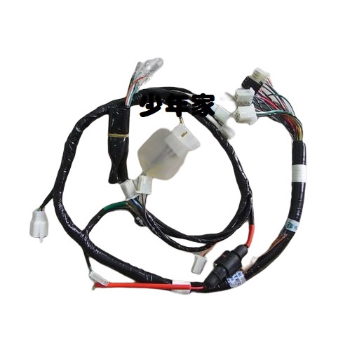 《少年家》SYM 三陽 原廠 B3D 野狼傳奇 PA12A 車台配線 | 蝦皮購物