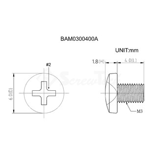【銳禾】工廠直營 M3x4 鐵鍍鎳 100入 大圓頭 特殊螺絲 BAM0300400A | 蝦皮購物