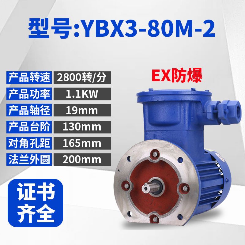 YBX3立式防爆電動機三相380V氣體防爆純銅線馬達礦用煤安MA國標 | 蝦皮購物