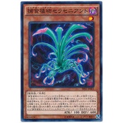【DCT_緣夢の城】遊戲王 SPFE-JP001 捕食植物瓶子草蟻 普卡/碎鑽 90-95分 | 蝦皮購物