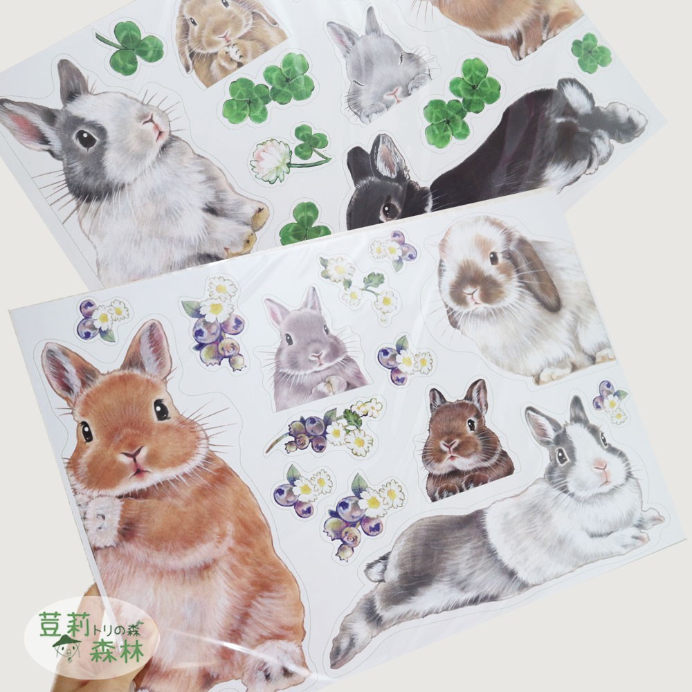 現貨 正品 可挑款 兔子壁貼 兔兔周邊 居家雜貨文創 小兔牆壁裝飾貼 道奇兔 | 蝦皮購物