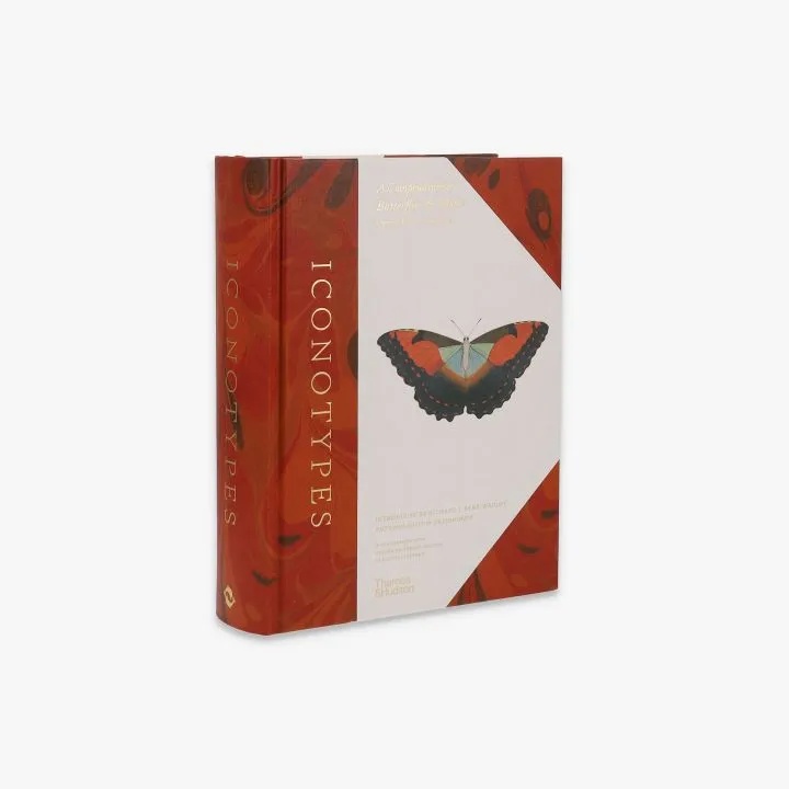 Iconotypes: A compendium of butterflies and moths. Jones’s Icones ...