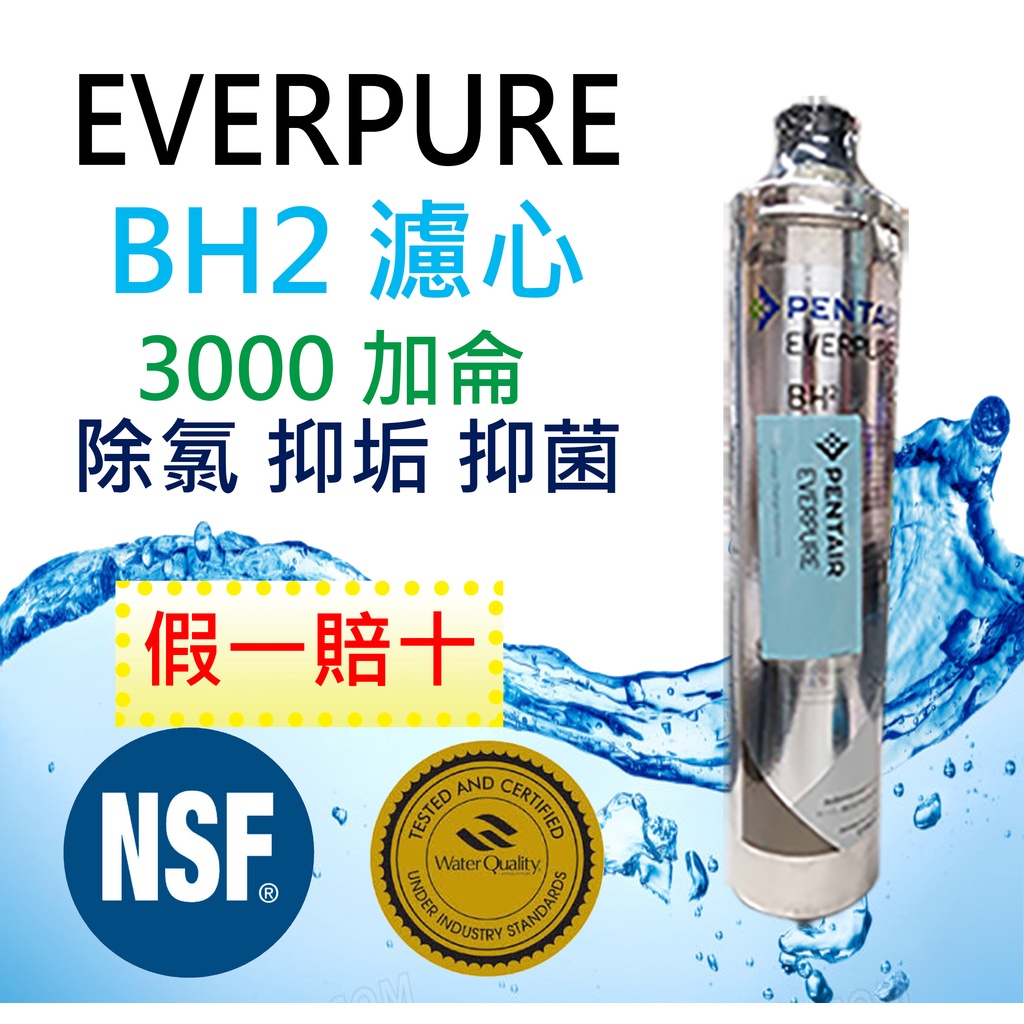 （2023/8月出廠)最新~最新~最新貨EVERPURE BH2 濾心$1699元 | 蝦皮購物