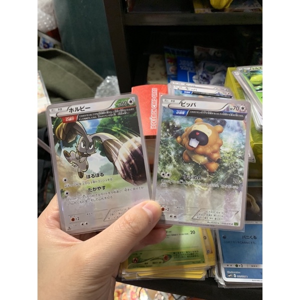 【菊草葉之家】PTCG 寶可夢集換式卡牌遊戲 日版 全圖普卡 掘掘兔 大牙狸 058/070 059/070 XY5 | 蝦皮購物