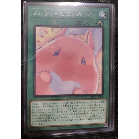 POTE-JP063 童話動物凝視比賽 (普卡) | 蝦皮購物