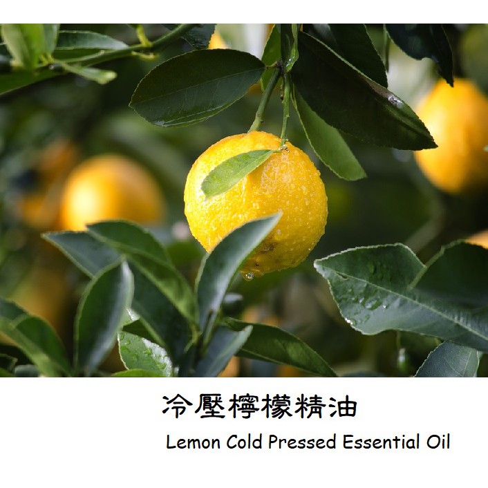 【ls】英國冷壓檸檬精油 Lemon Cold Pressed Essential Oil | 蝦皮購物