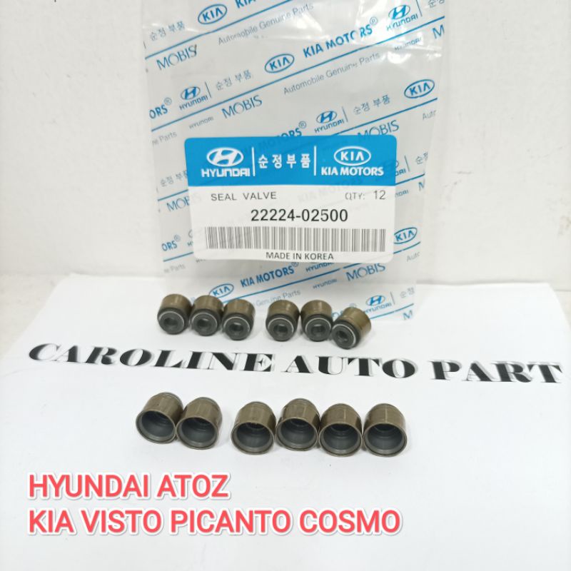 密封閥密封閥密封閥密封閥現代atoz起亞visto PICANTO COSMO價格1套12pcs | 蝦皮購物