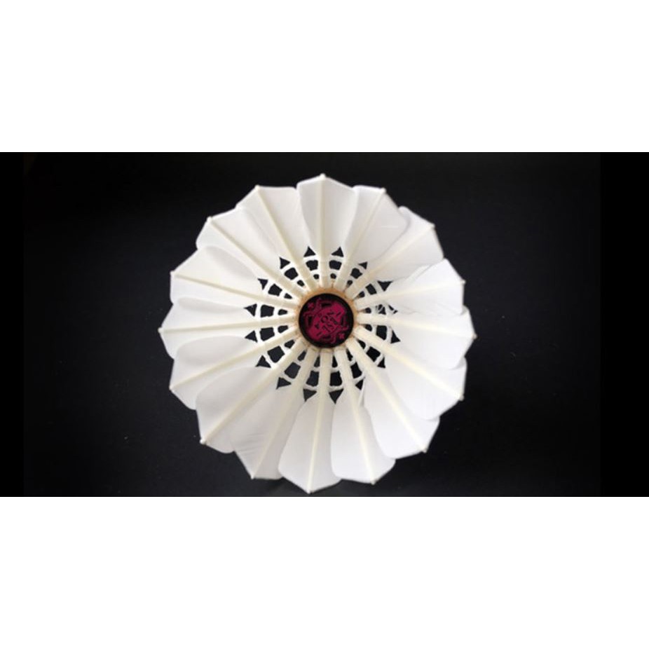 【現貨供應 不用等】RSL RSL4 RSL 4 No 4號 球速77 羽球 羽毛球 3 5 4 亞獅龍 | 蝦皮購物