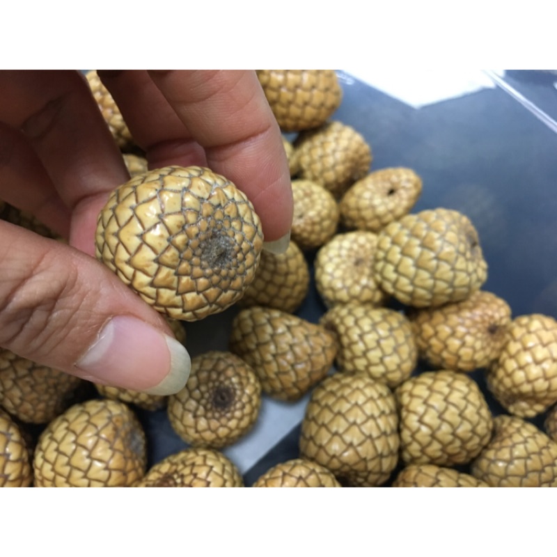 西谷米椰子 西谷米椰子 | 蝦皮購物