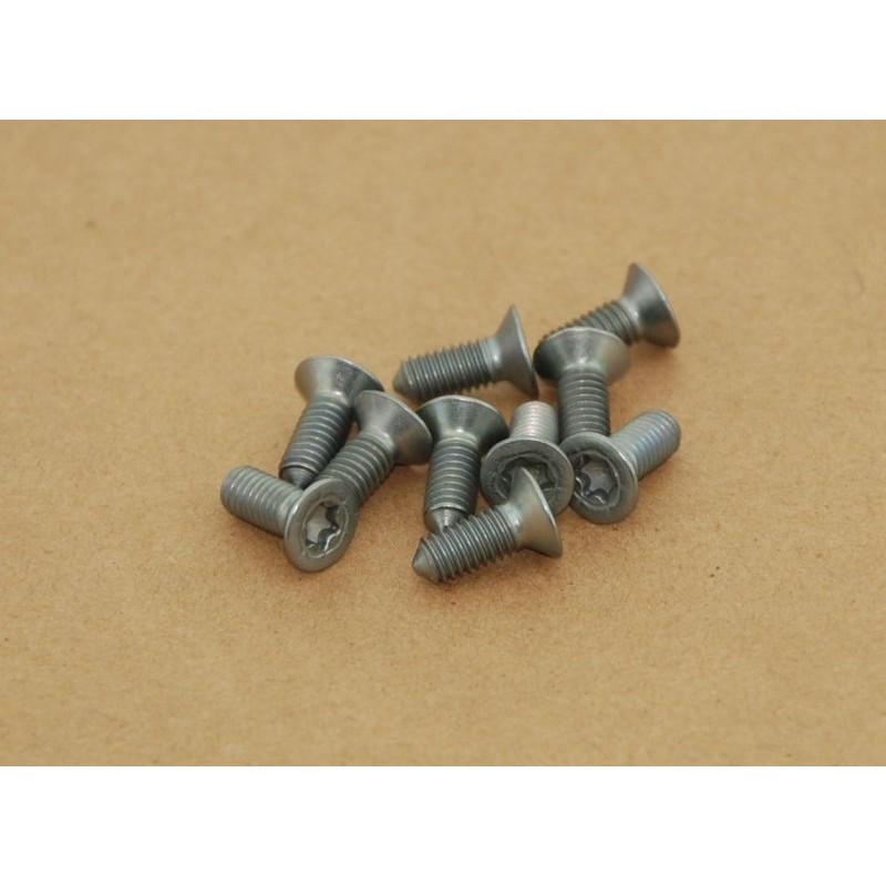 (小賴汽車) VW VAG Golf Polo Tiguan Lupo N10648301 煞車盤 碟盤 螺絲 全新 | 蝦皮購物