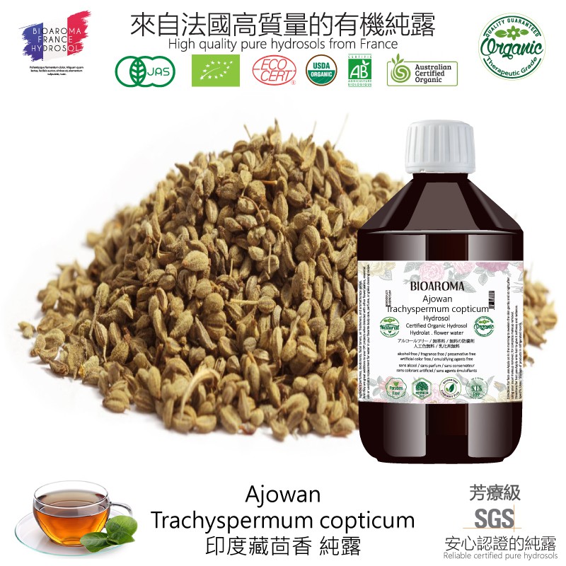 【純露工坊】印度藏茴香有機花水純露Ajowan-Trachyspermum copticum | 蝦皮購物