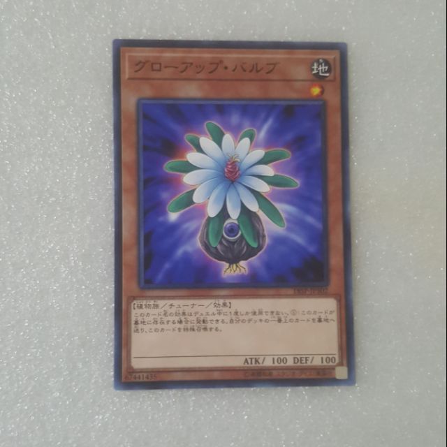 【出清】遊戲王 18SP-JP302 普卡 適用 收藏 | 蝦皮購物