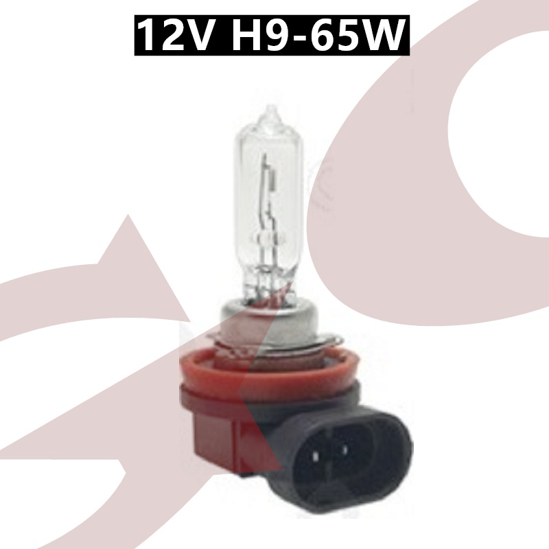 鹵素燈 H1 H3 H4 H7 H8 H9 H11 H16 9005 9006 12V/24V | 蝦皮購物