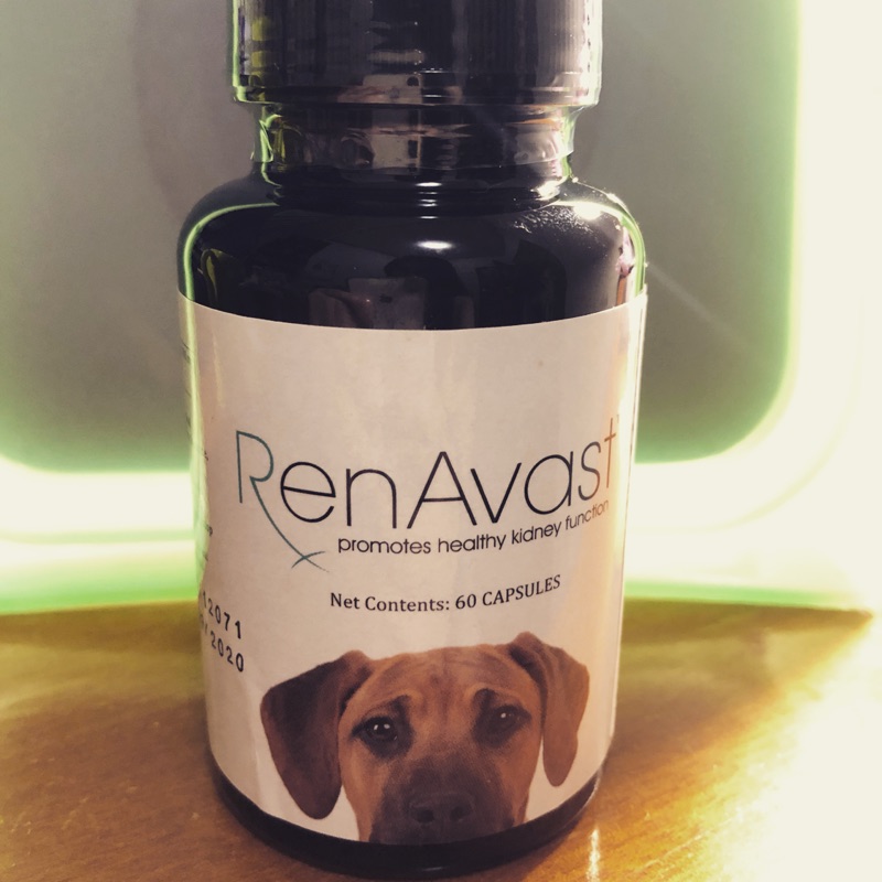 胺腎 AminAvast / RenAvast 60顆 中/大型犬 狗 腎衰竭 腎臟 保健 | 蝦皮購物