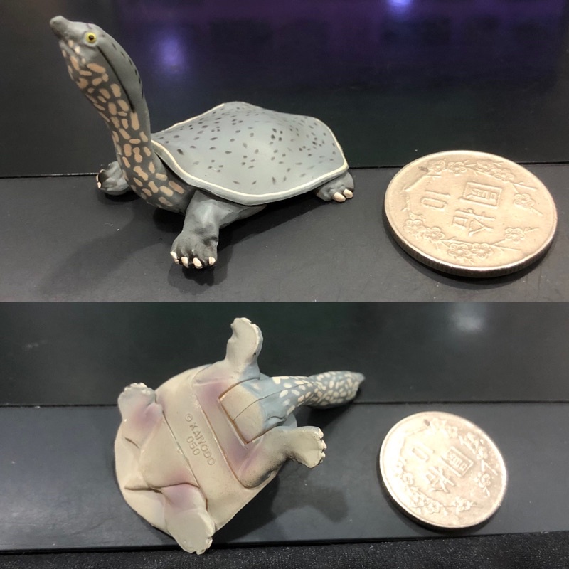 海洋堂 furuta 淡水 生物 魚類 淡水魚 長頸鱉 鯉魚 鯰魚 螺 金魚 二手 公仔 組裝 模型 轉蛋 扭蛋 盒玩 | 蝦皮購物