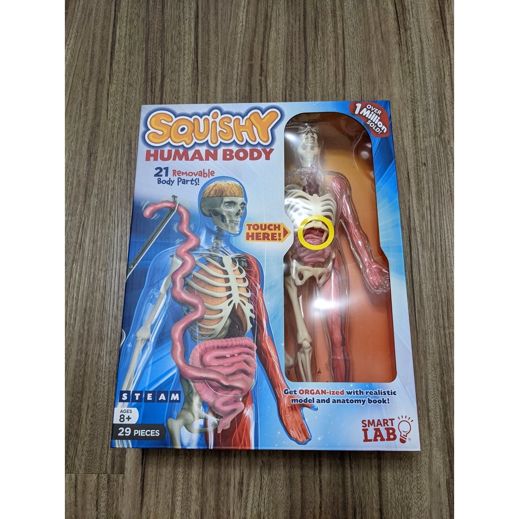 美國Smart Lab - Squishy Human Body 人體模型套組 | 蝦皮購物