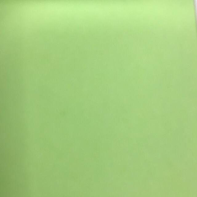 Fion📃A3/A4-象牙紙/象牙卡160磅-19色-B4/B5-美術紙/色紙-100張/份-色卡/彩色象牙卡/白象牙 | 蝦皮購物