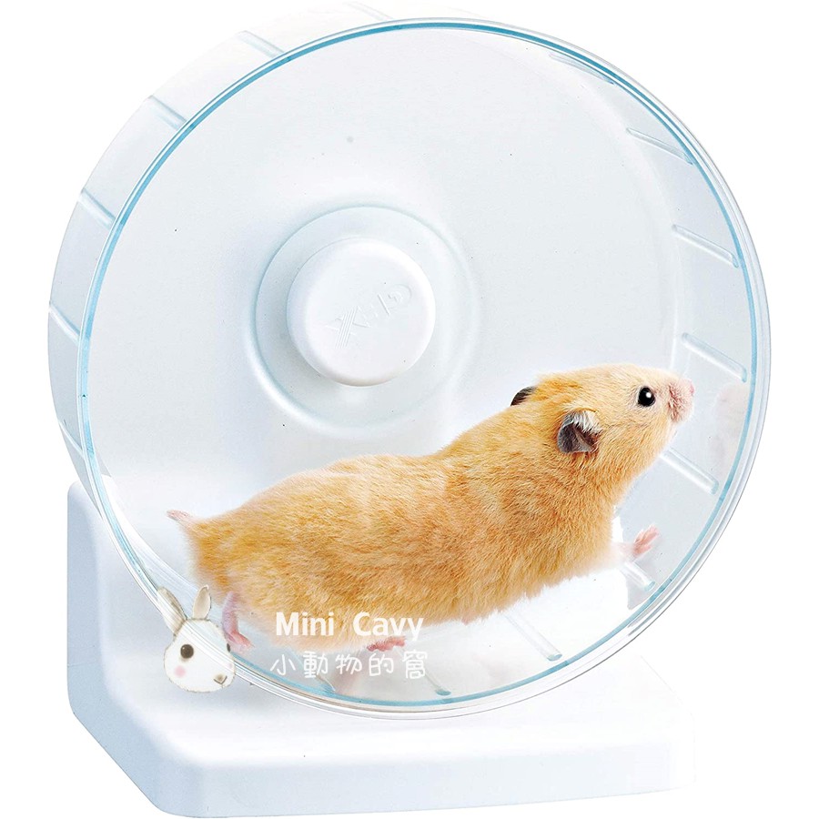Mini Cavy♥ 日本GEX 靜音兩用 立掛滾輪 21cm 滾輪 跑輪 | 蝦皮購物