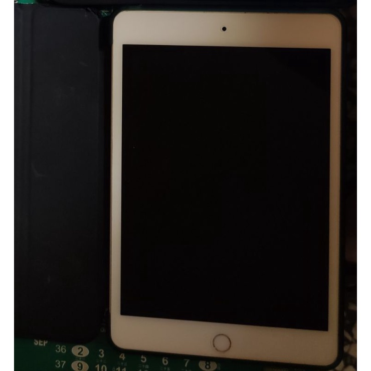 ipad mini 5 64g wifi版 銀色（螢幕全黑有2藍點，一般正常） | 蝦皮購物