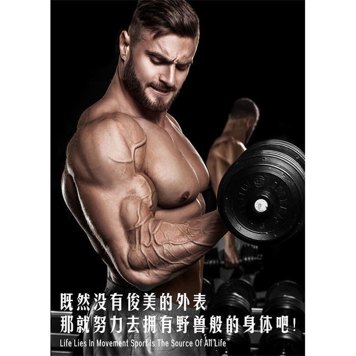 【滿799免運】健身房勵志海報畫性感馬甲線肌肉男女健身口號運動裝飾大海報貼畫jioyh 1gln | 蝦皮購物