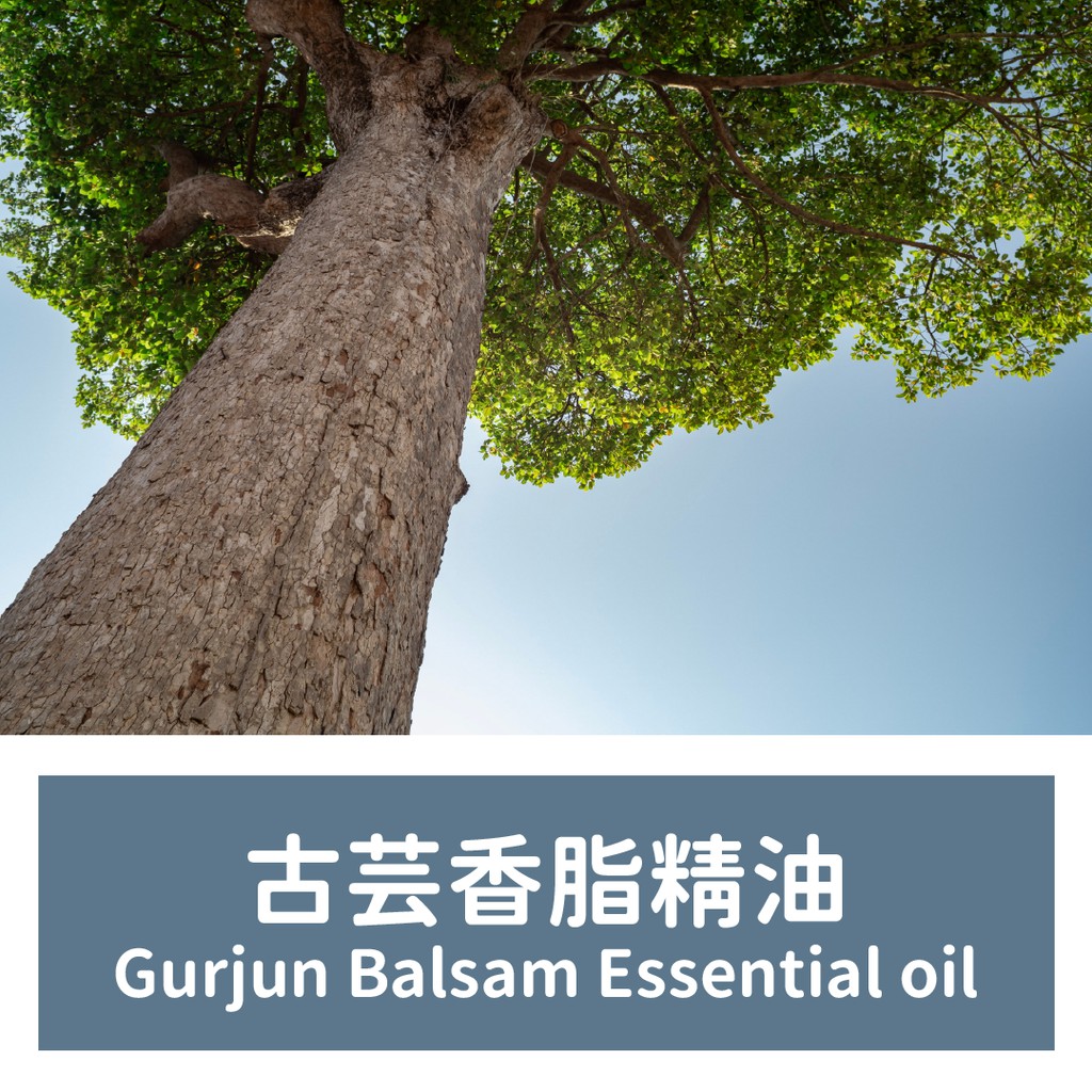 【馥靖精油】古芸香脂精油 Gurjun Balsam Essential oil | 蝦皮購物