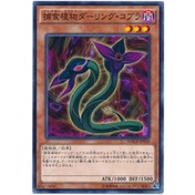 【DCT_緣夢の城】遊戲王 MACR-JP010 捕食植物瓶子草眼鏡蛇 普卡 90-95分 | 蝦皮購物