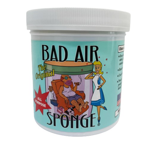 ⭐E發票+免運⭐美國製 Bad Air Sponge 除甲醛 除異味 美國製 400g | 蝦皮購物
